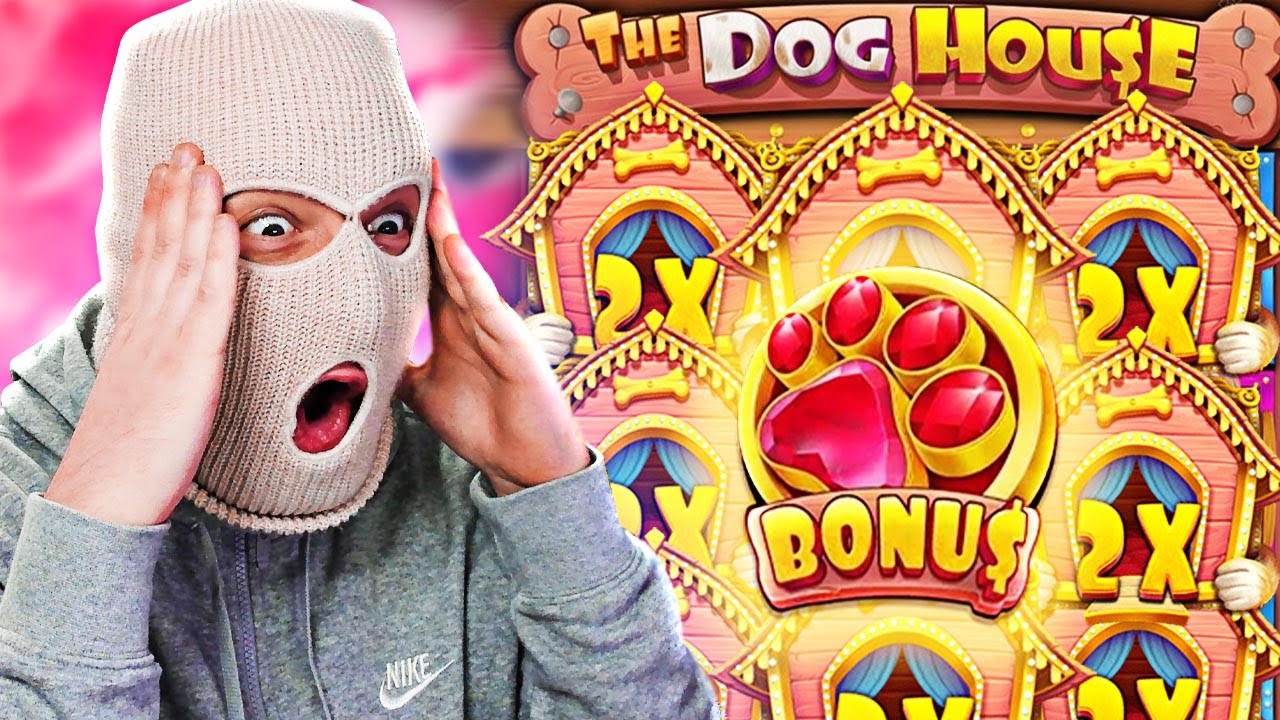 UNBELIEVABLE SESSION ON DOG HOUSE (STAKE PROMO CODE) - YouTube