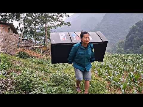 To preserve food properly during the hot summer months the mother tried to bring a refrigerator home