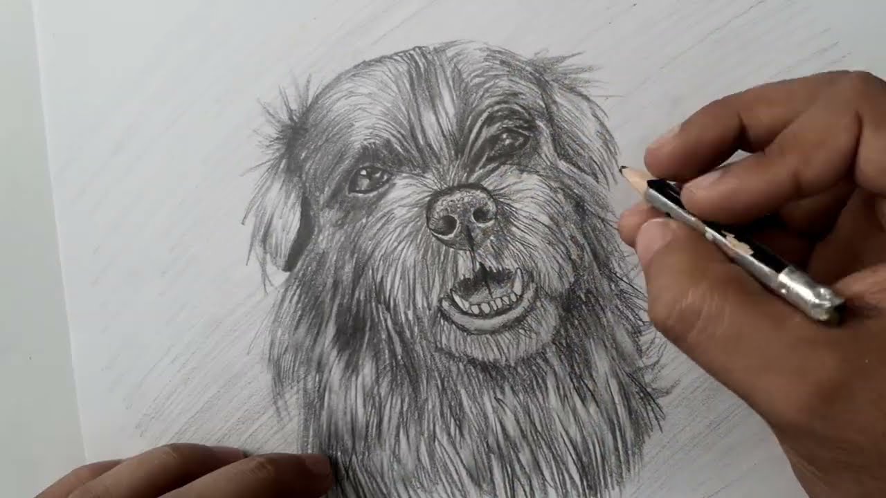 Dibujo realista de un perro | Realistic drawing of a dog - YouTube