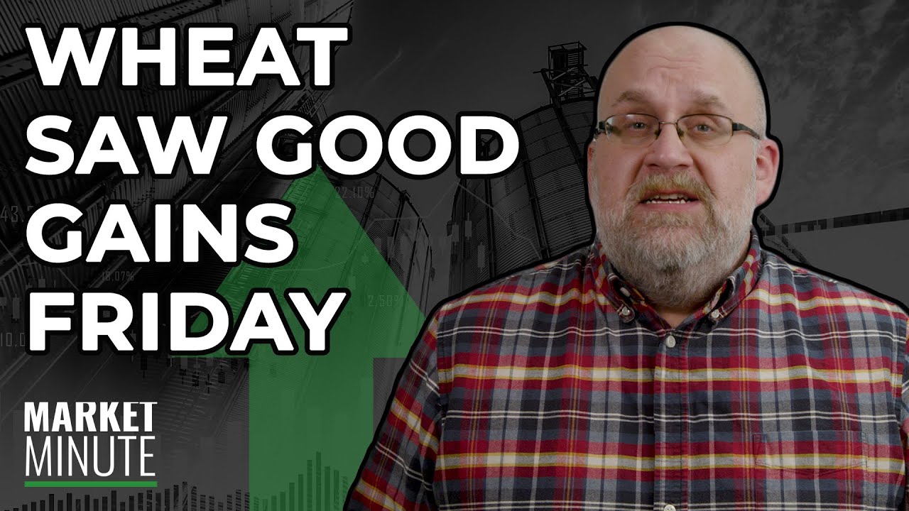 Wheat saw good gains Friday | Market Minute for 1/19/24 - YouTube