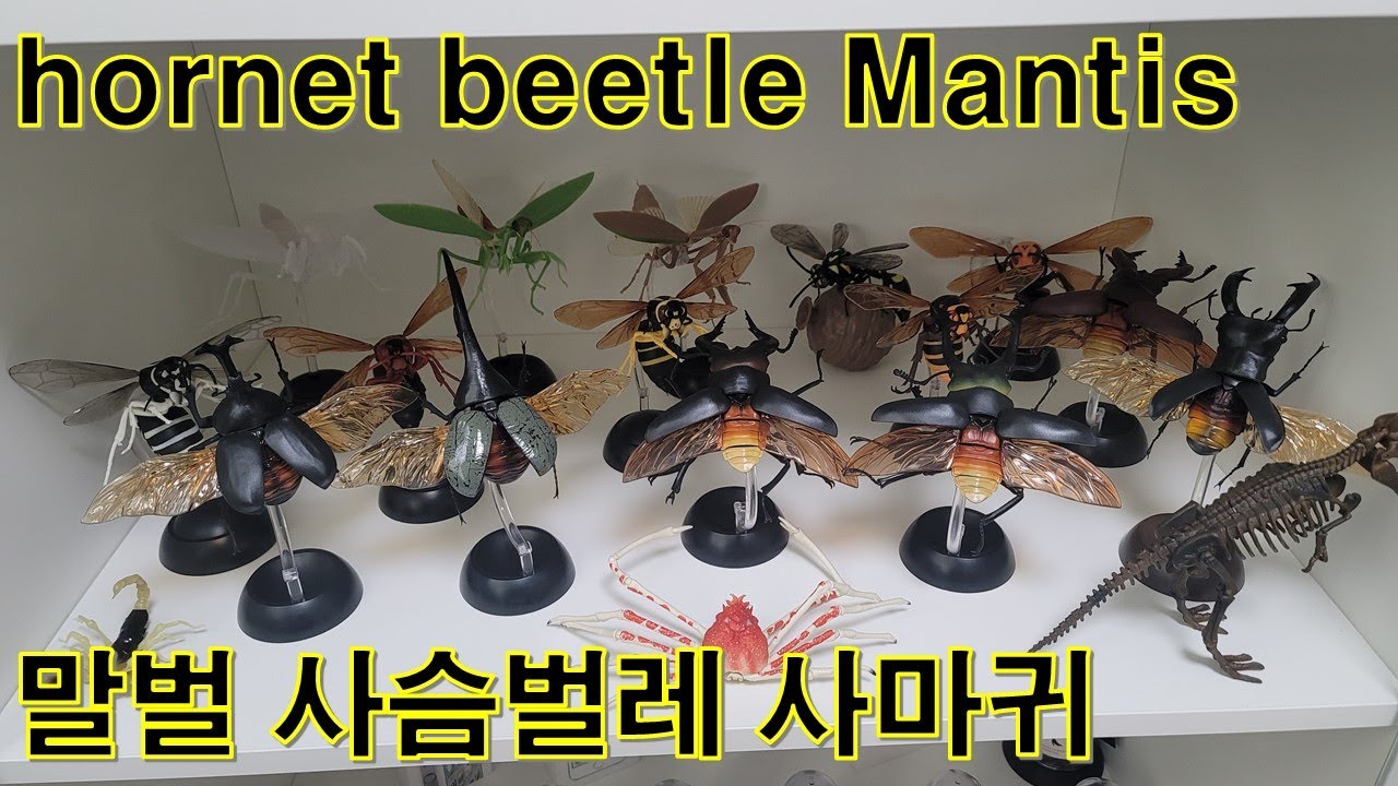 [Insect] (Bandai) hornet Stag beetle Mantis Tyrannosaurus 반다이 생물대도감 말벌 ...