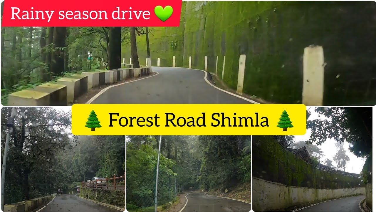 Monsoon Drive - FOREST ROAD SHIMLA | Navbahar to Raj Bhawan - YouTube