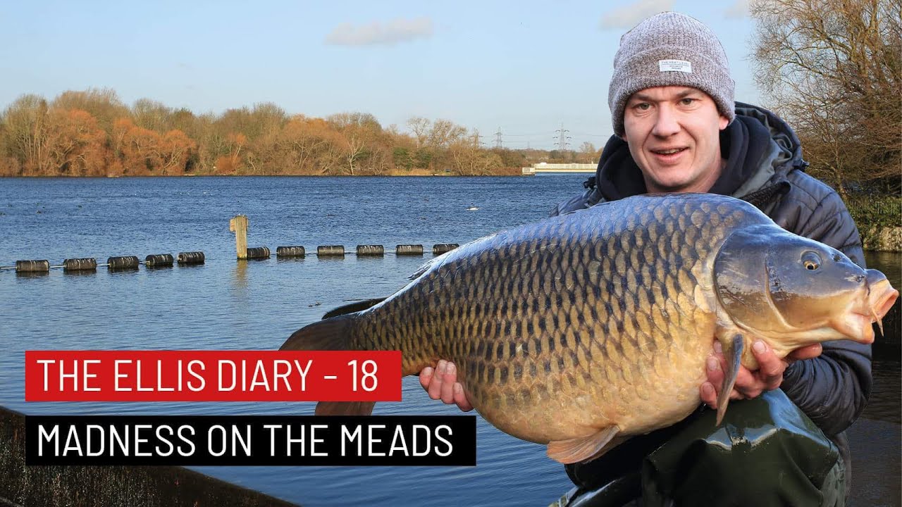 THE ELLIS DIARY - MADNESS ON THE MEADS! - YouTube