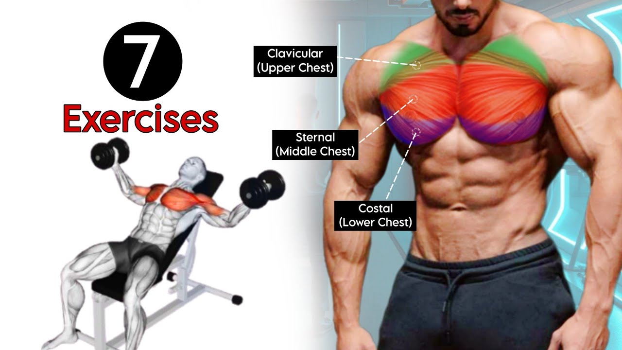 7 Fastest Effective Chest Exercises | Bigger Chest Workout # ...