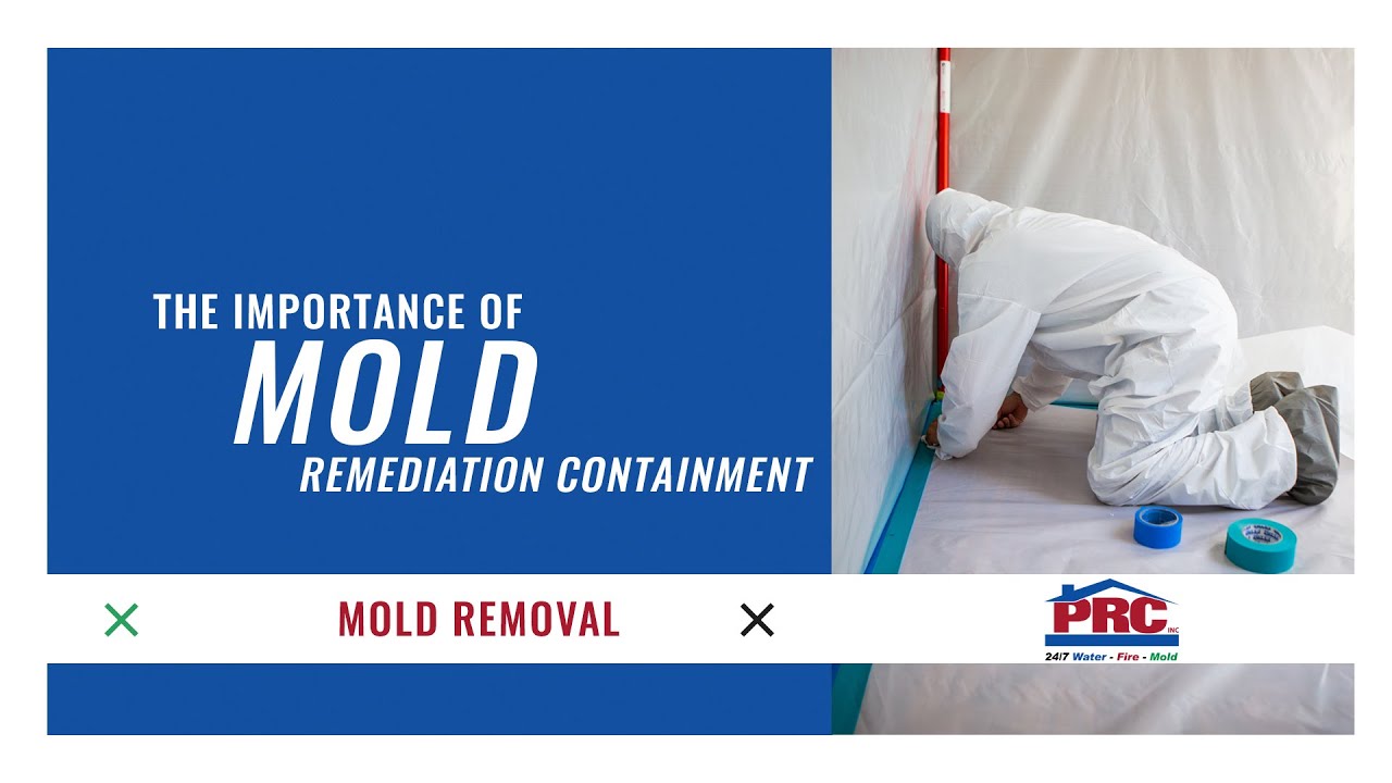 THE IMPORTANCE OF CONTAINMENT IN A MOLD REMEDETION - YouTube
