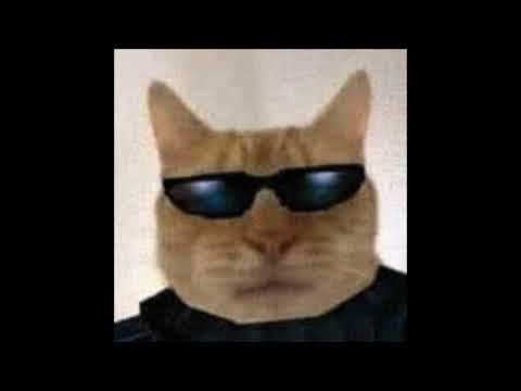 My Vision is Augmented