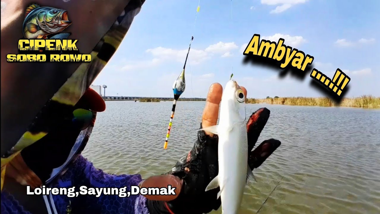 Mancing bandeng ,mancing nila!(mancing nyobok tambak Loireng,Sayung ...
