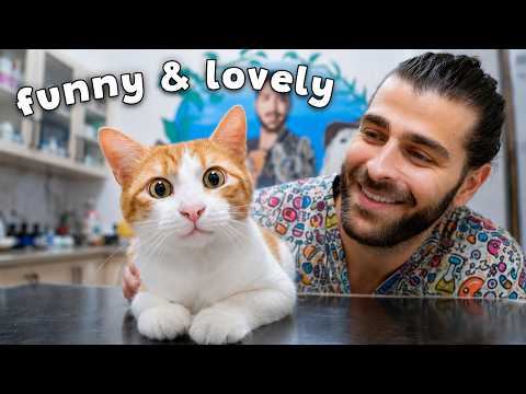 Hem Sevimli Hem Yaramaz Bir Kedi! 😍 (Sürekli Kaçmaya Çalıştı!)