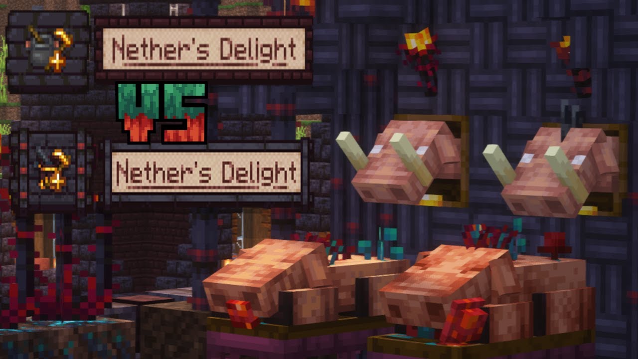 Nether's Delight VS My Nether's Delight - Video random - YouTube