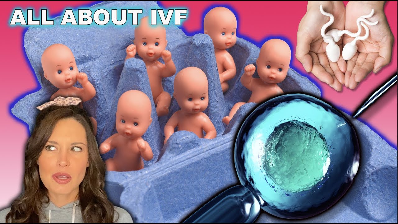 WHAT THE INVITRO FERTILIZATION PROCESS LOOKS LIKE | FIND THE FACTS ...