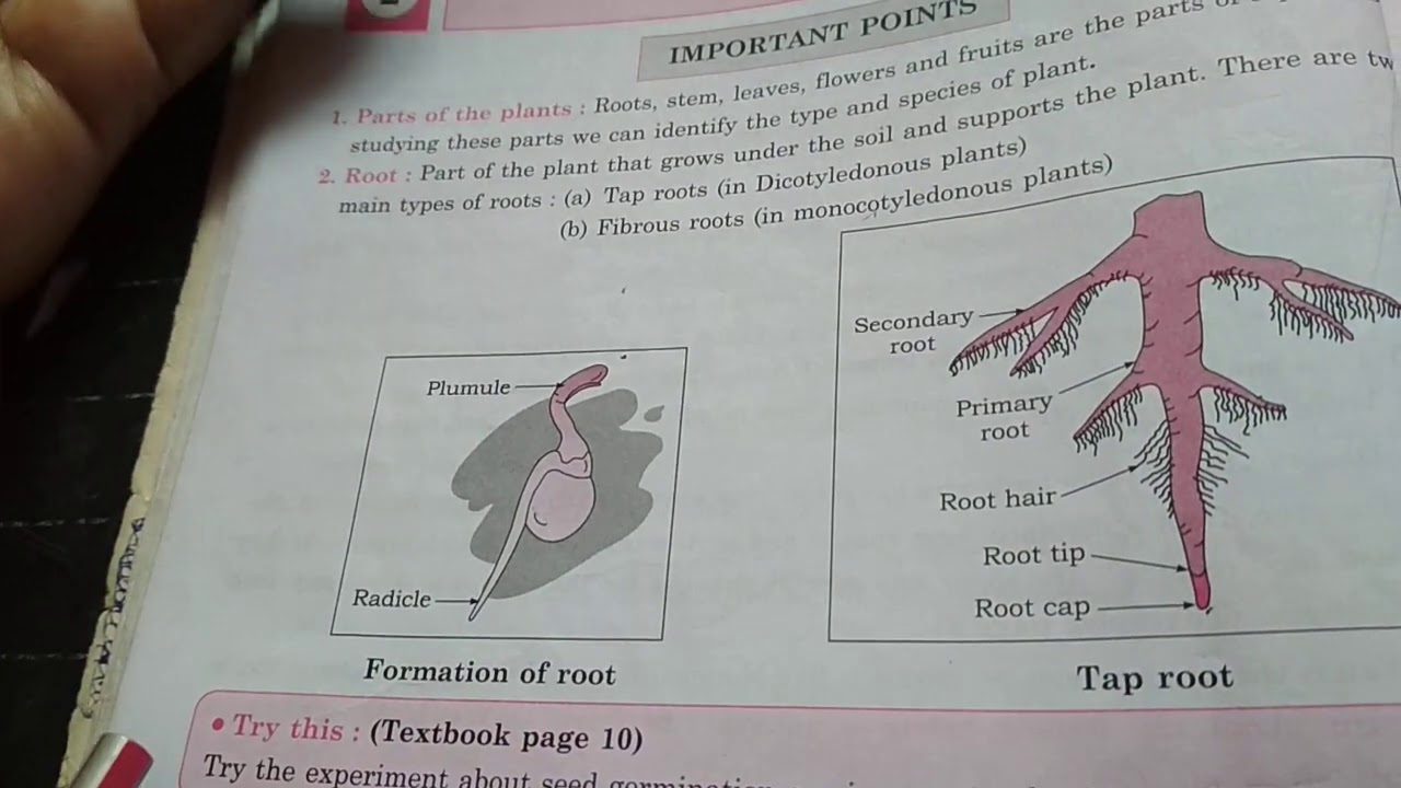 Std 7th Science Lesson 2 YouTube std-7th-science-lesson-2-youtube