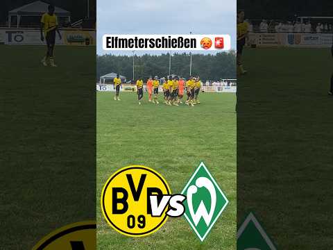 Borussia Dortmund vs Werder Bremen