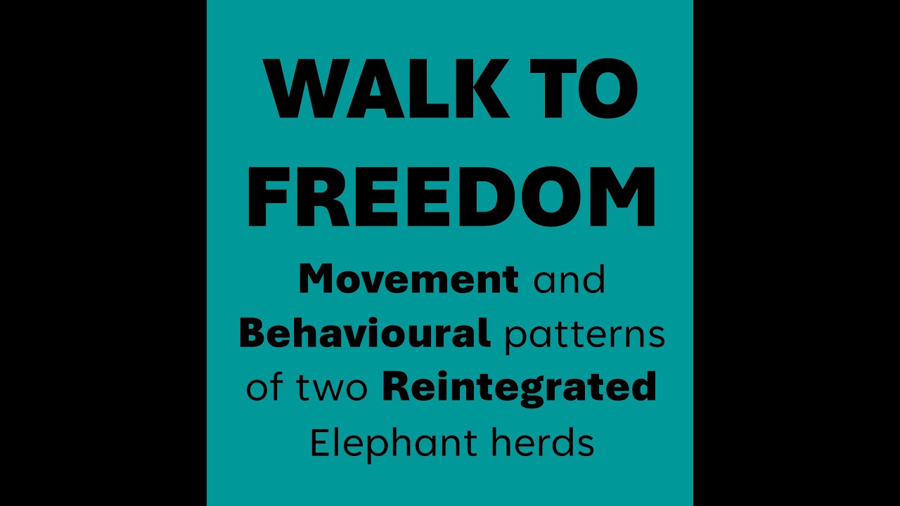 PAWS Conference Presentation - Tenisha Roos - YouTube