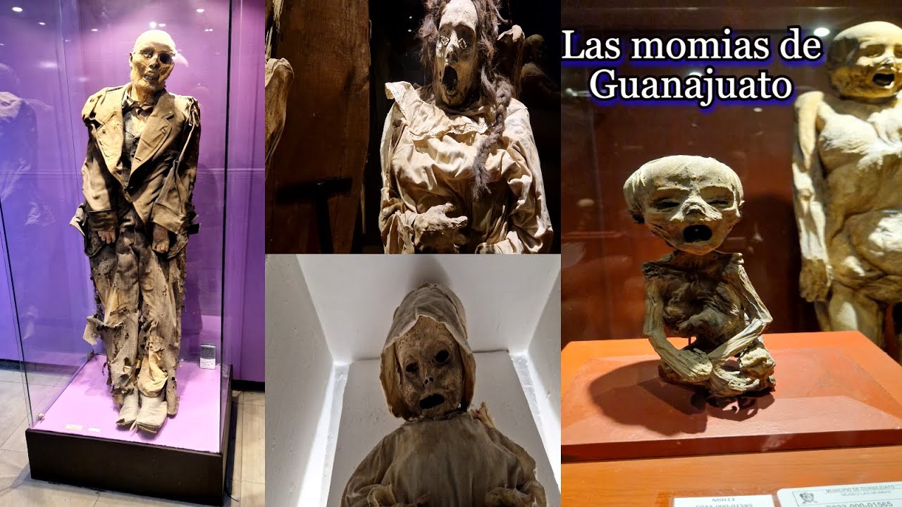 Las Momias de Guanajuato y su impactante historia (Museo de las Momias ...