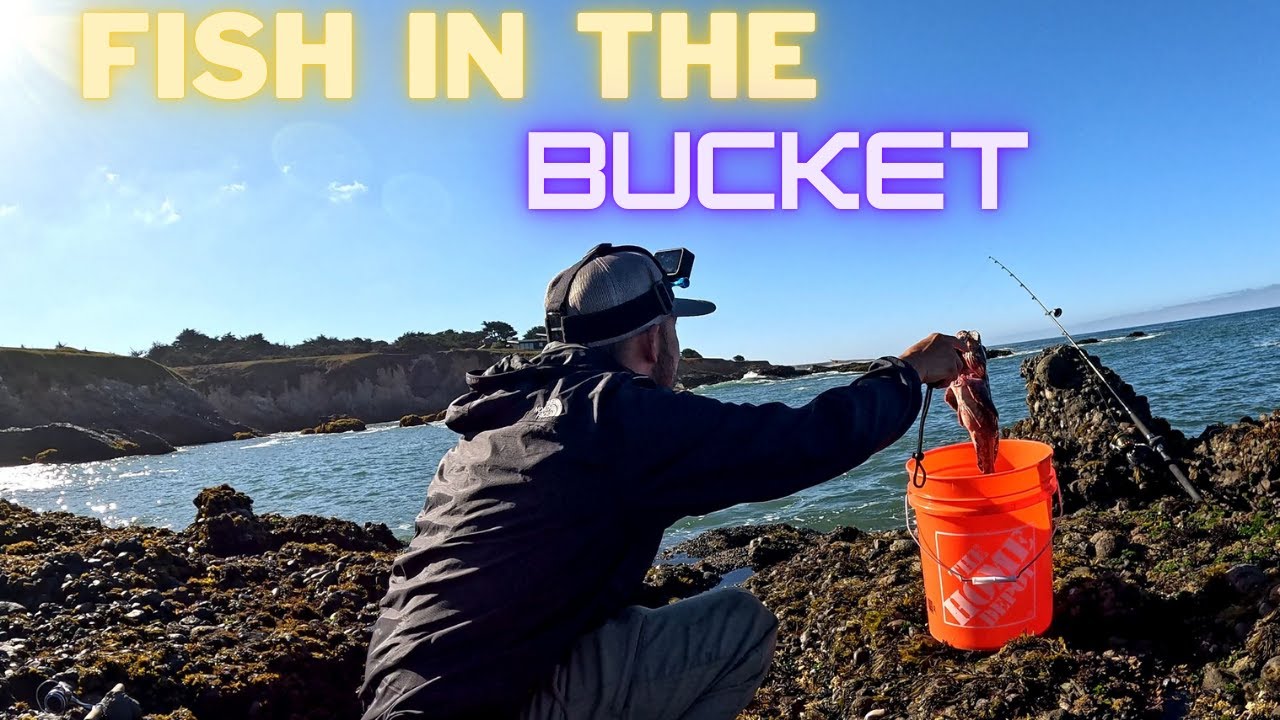 One More Coastal Catch Before Stripers Take Over the Bay [Multi-Species ...