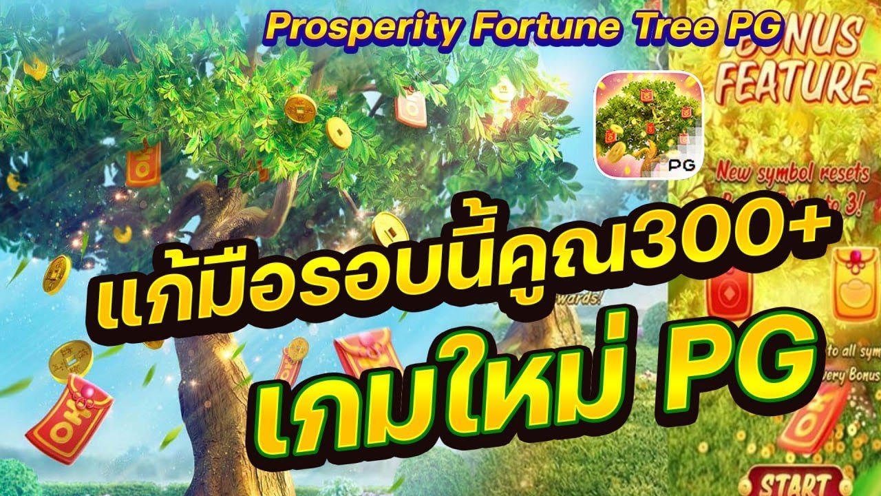 Prosperity Fortune Tree เกมใหม่pg มาแก้มือรอบนี้คูณ300+!! - YouTube