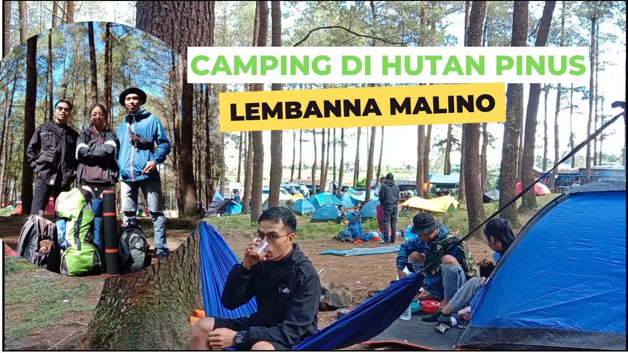 CAMPING DI HUTAN PINUS LEMBANNA MALINO - YouTube