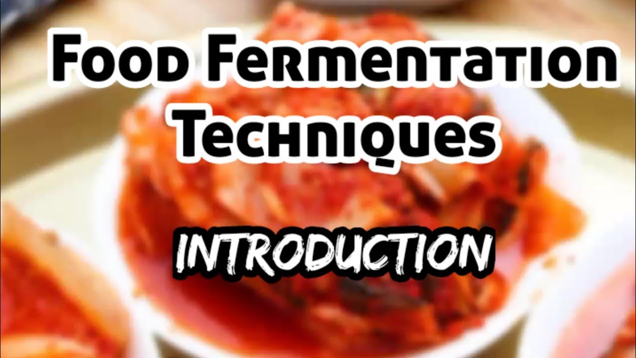 Introduction to food fermentation techniques || Food microbiology - YouTube