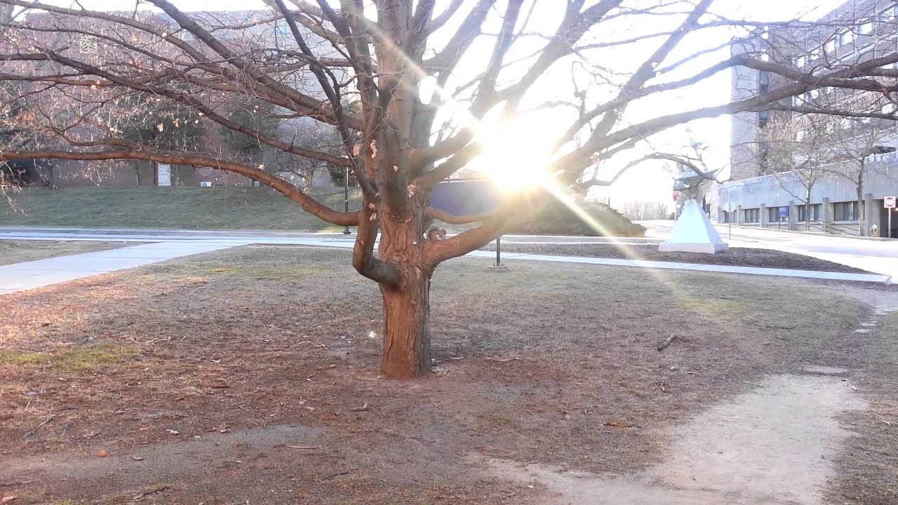 Front of UTEB UCONN - YouTube