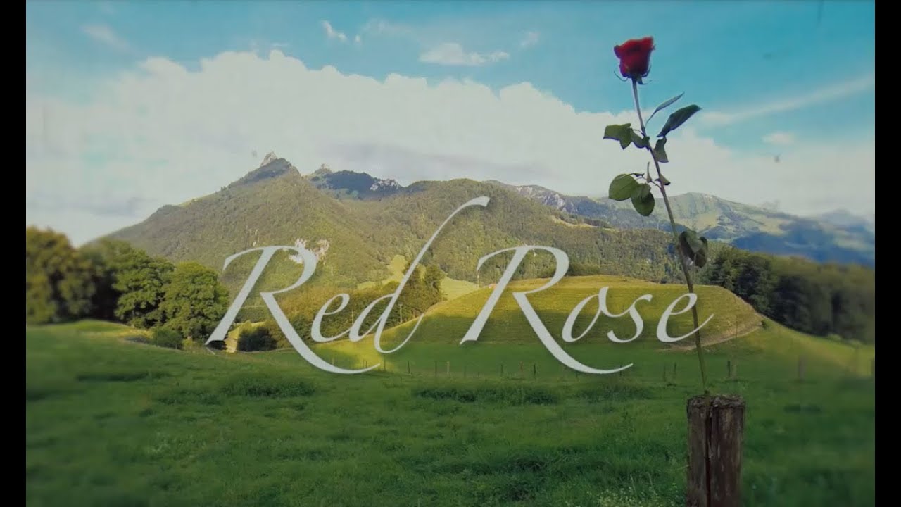 Red Rose - Fadro (Flute House Original Song) - YouTube