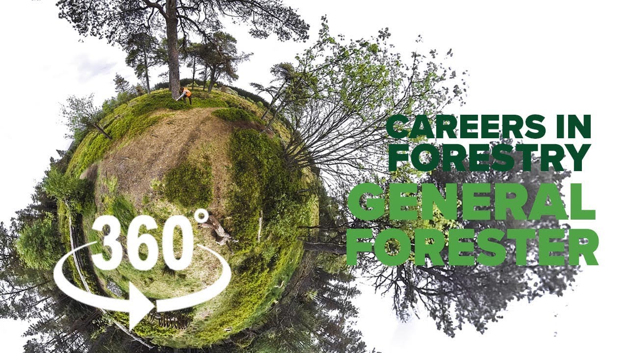 Careers in forestry: General Forester - 360° video - YouTube