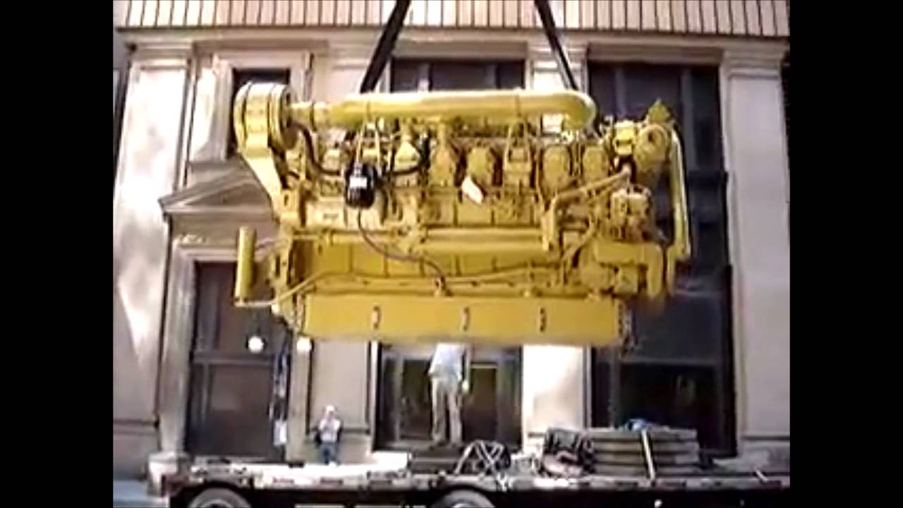 Carolina CAT EPG - "I'm ALIVE" - YouTube