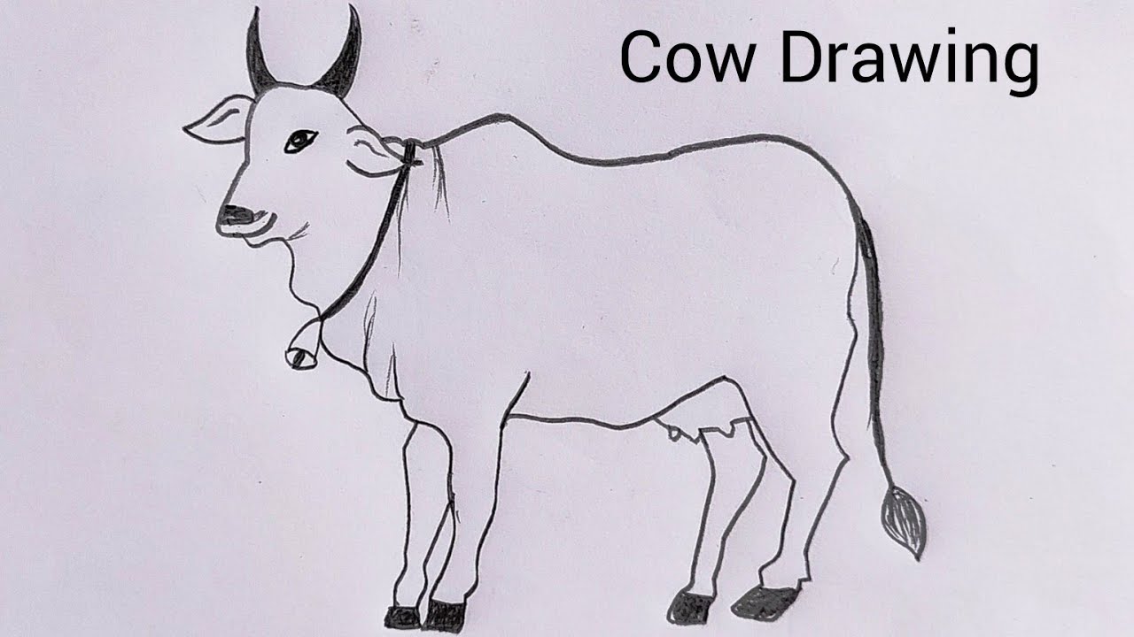 How to draw a Cow easy way 🐄 Cow drawing step by step | Cow Drawing ...