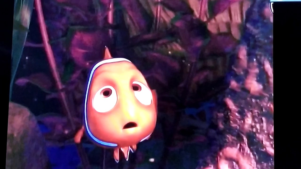 Buscando a Nemo tiburóncin - YouTube