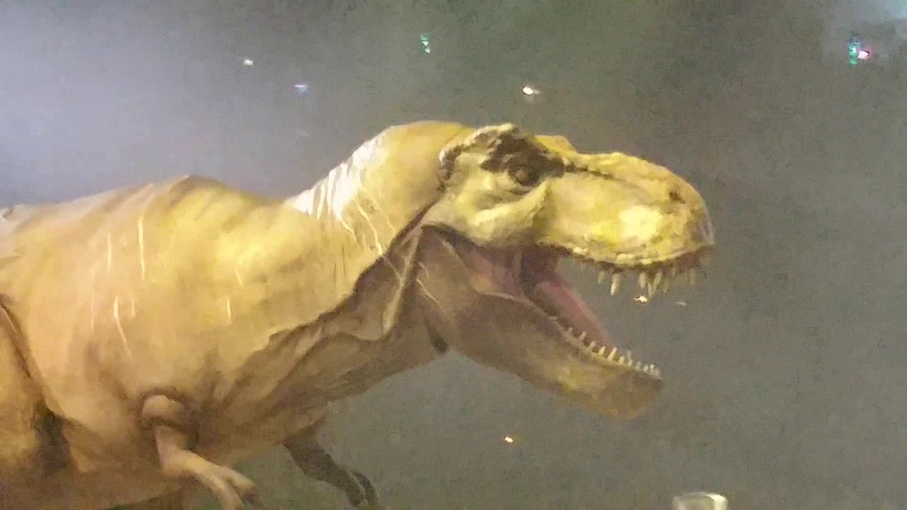 Jurassic World LIVE Chicago T-REX (11/1/19) - YouTube