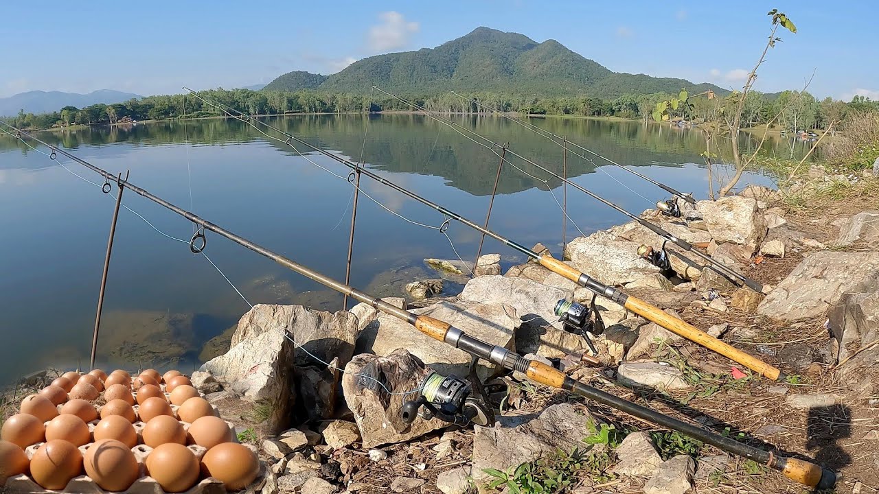 ตีหน้าดิน ตกเหยื่อสด กลางสันอ่างเก็บน้ำหมายธรรมชาติ 🌄 Ab-Fishing - YouTube