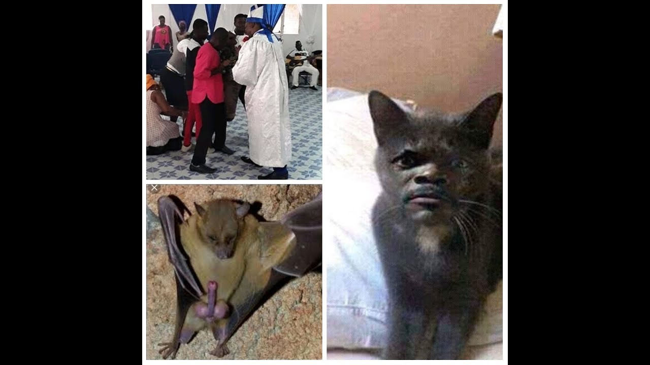 See how Human Being turn into Animal - YouTube