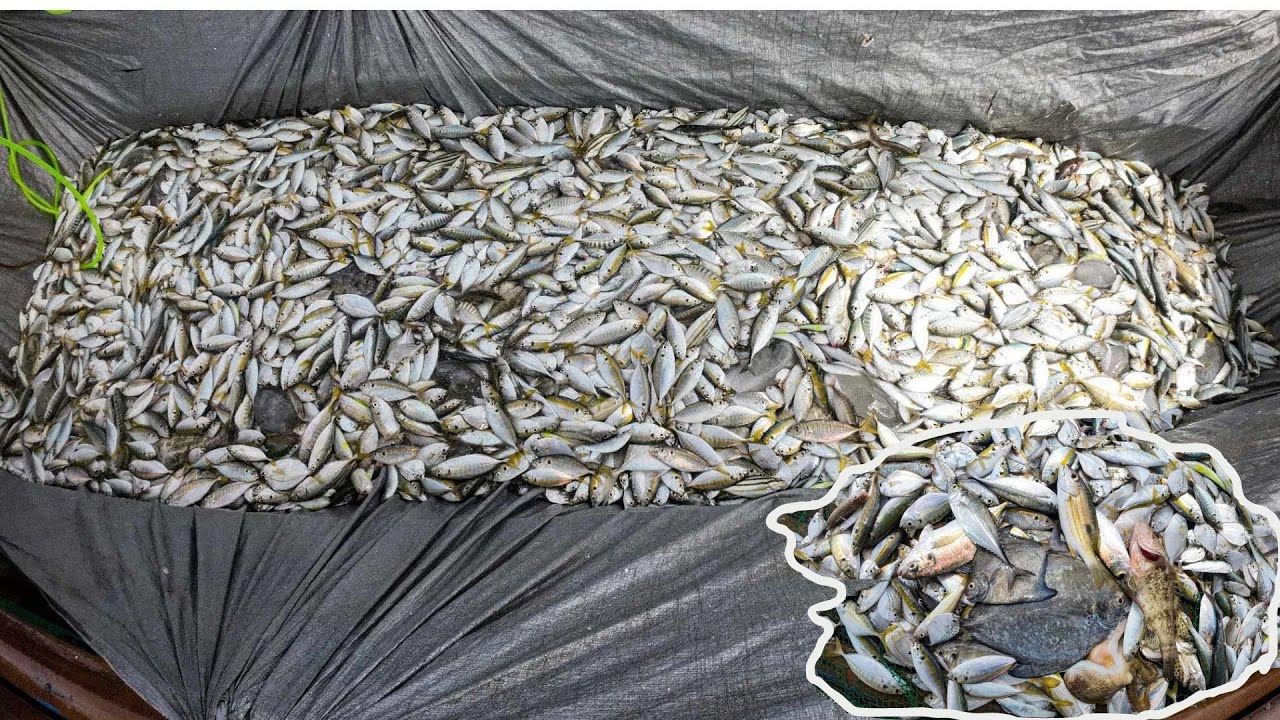 MARAMING ISDA SA DAGAT | FISHING RAFT "BAKLAD" DAY 7 - YouTube