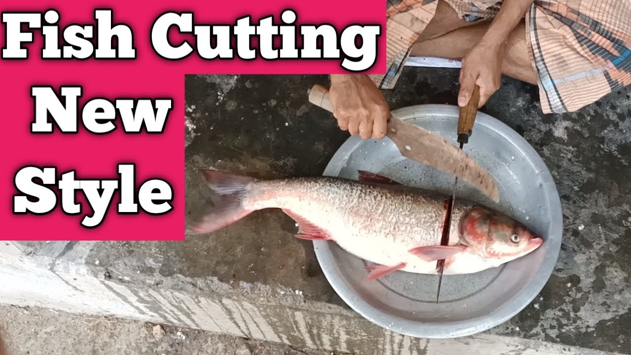 A new style of fish cutting | Fish Cutting | Big Fish cutting | Fishing ...