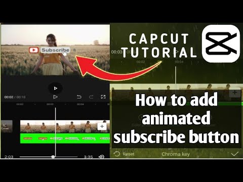 How to put animated subscribe button in capcut - capcut tutorial - YouTube