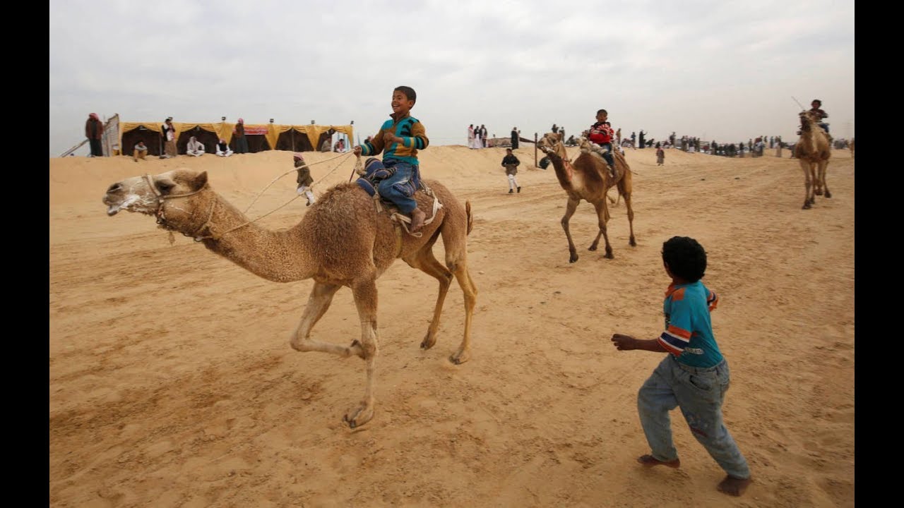 camel race with children in dubai From mobail - YouTube