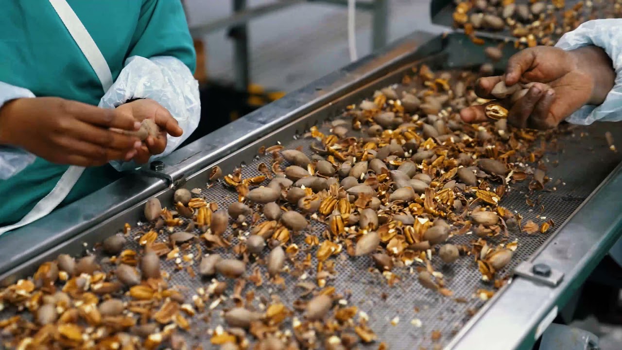 GWK Pecans Facilities - YouTube