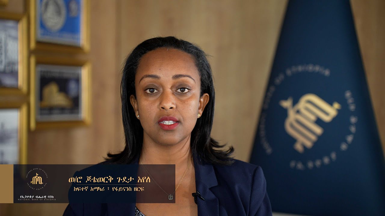 Jotework Ayele explains NBE's initiatives to bolster the financial ...