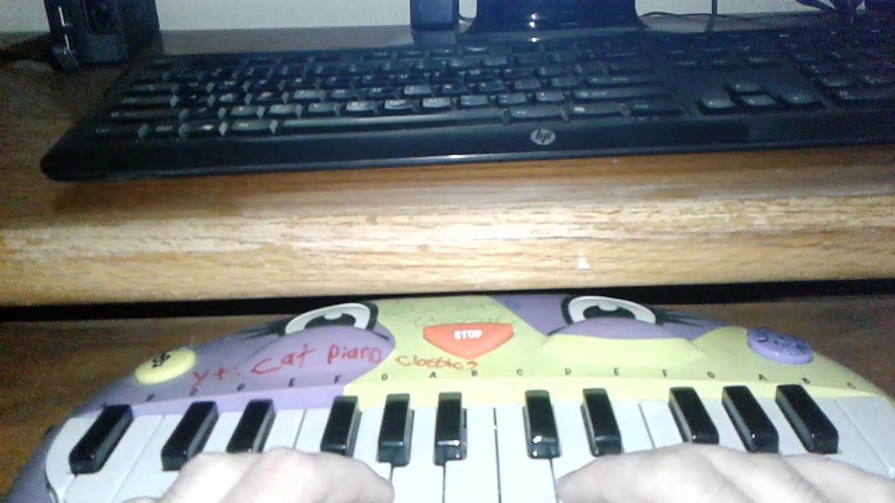 Starboy Cat Piano Cover - YouTube