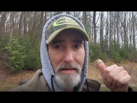 Update on the property at Eke Acres (More clearing) - YouTube