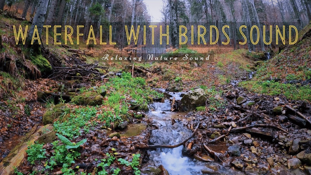 Waterfall with Birds sounds - YouTube