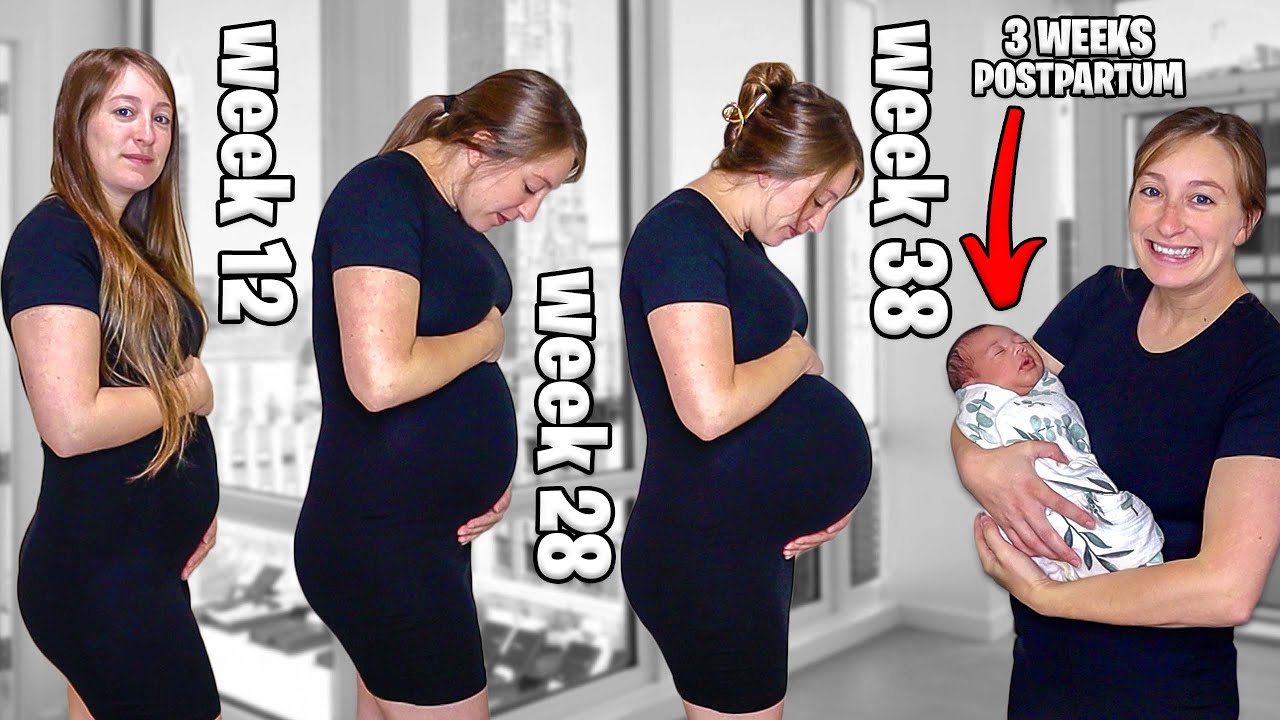 Pregnancy Transformation (Week by Week) - YouTube
