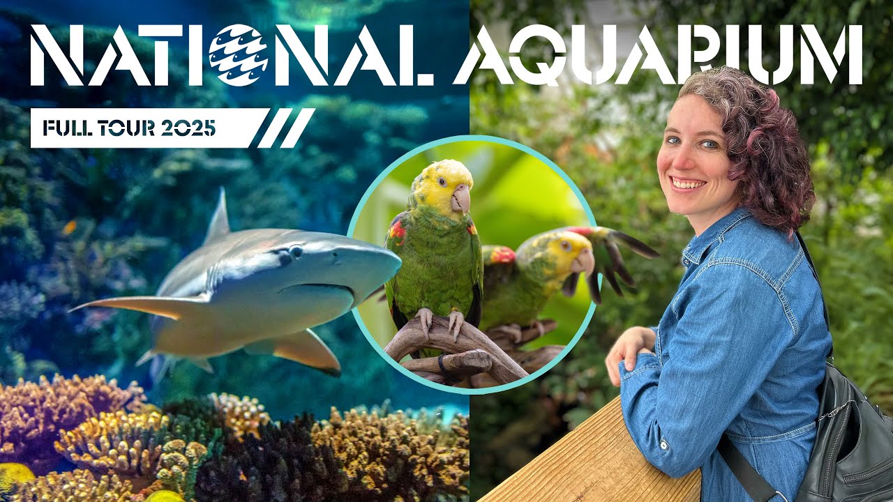 VLOG: National Aquarium in Baltimore, MD 2025 | COMPLETE TOUR and ...
