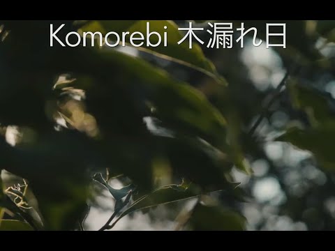 White Ridge Gin X Darko Lesoski: Uber Words Of The World -„Komorebi ...