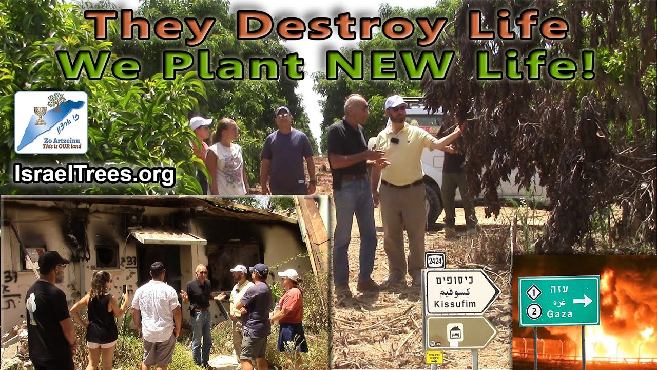 They Destroy Life We Plant NEW Life in Kissufim! - YouTube