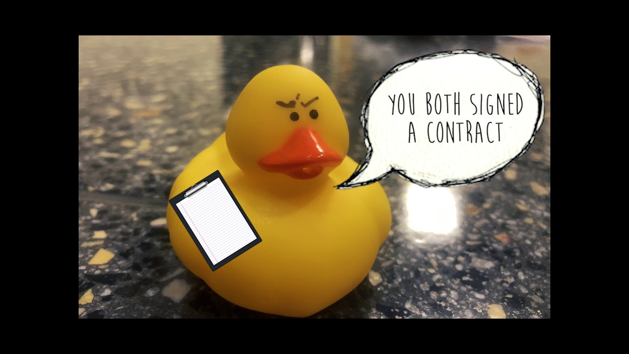Duck Project - YouTube