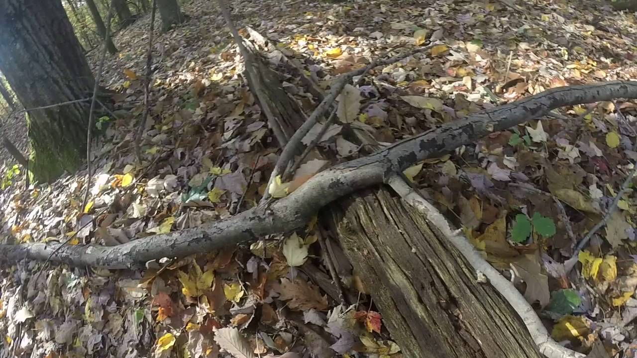 PA trapping 2016 - YouTube