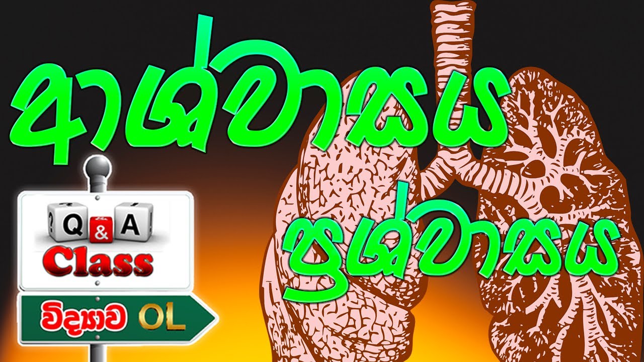 👨‍🔬Grade 11 Science - 6 පාඩම - ශ්වසන පද්ධතිය👨‍🔬 - YouTube