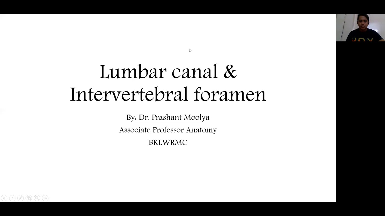 Intervertebral foramen and Lumbar canal anatomy for Endoscopic trans ...