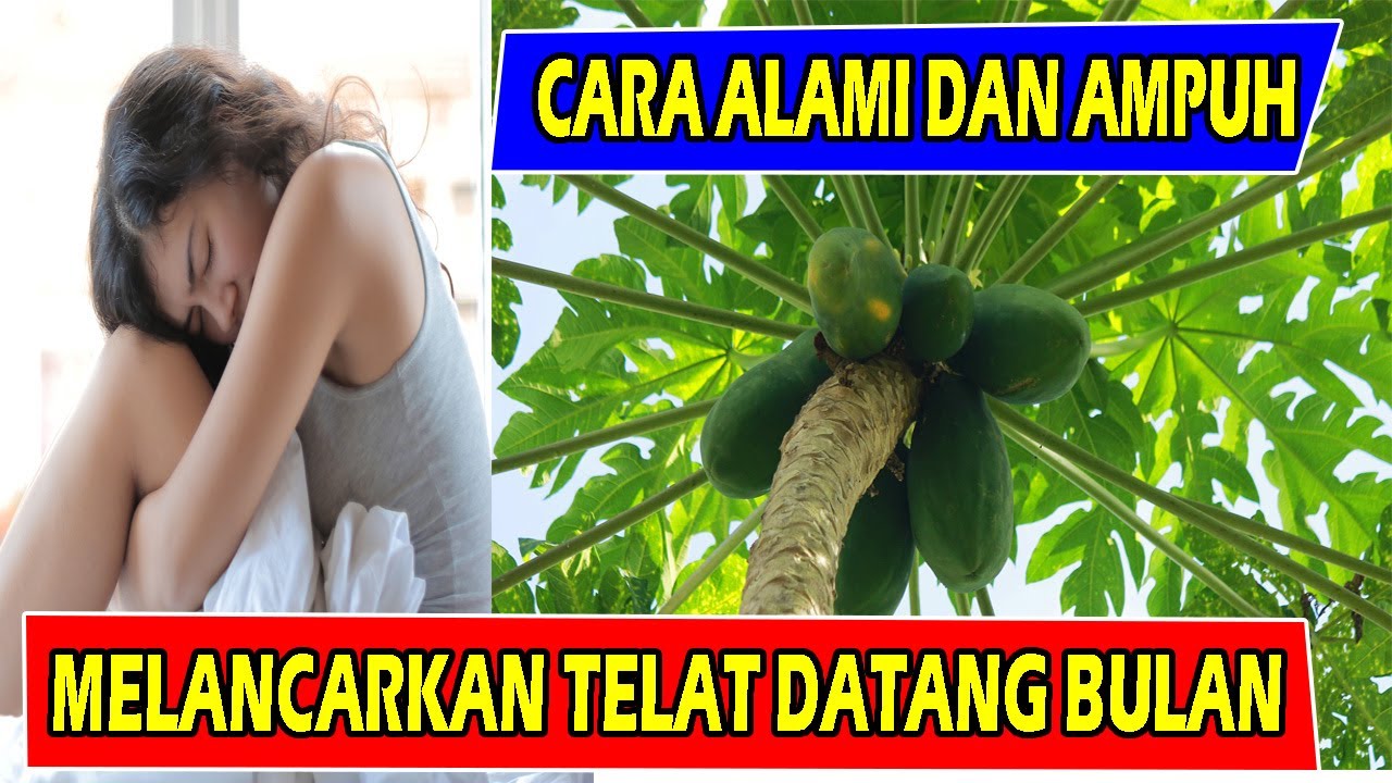 CARA ALAMI MELANCARKAN TERLAMBAT DATANG BULAN DENGAN DAUN PEPAYA - YouTube