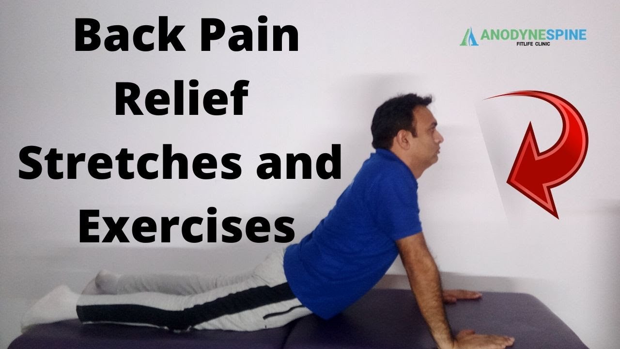 Back Pain Relief Stretches and Exercises #best physiotherapist - YouTube